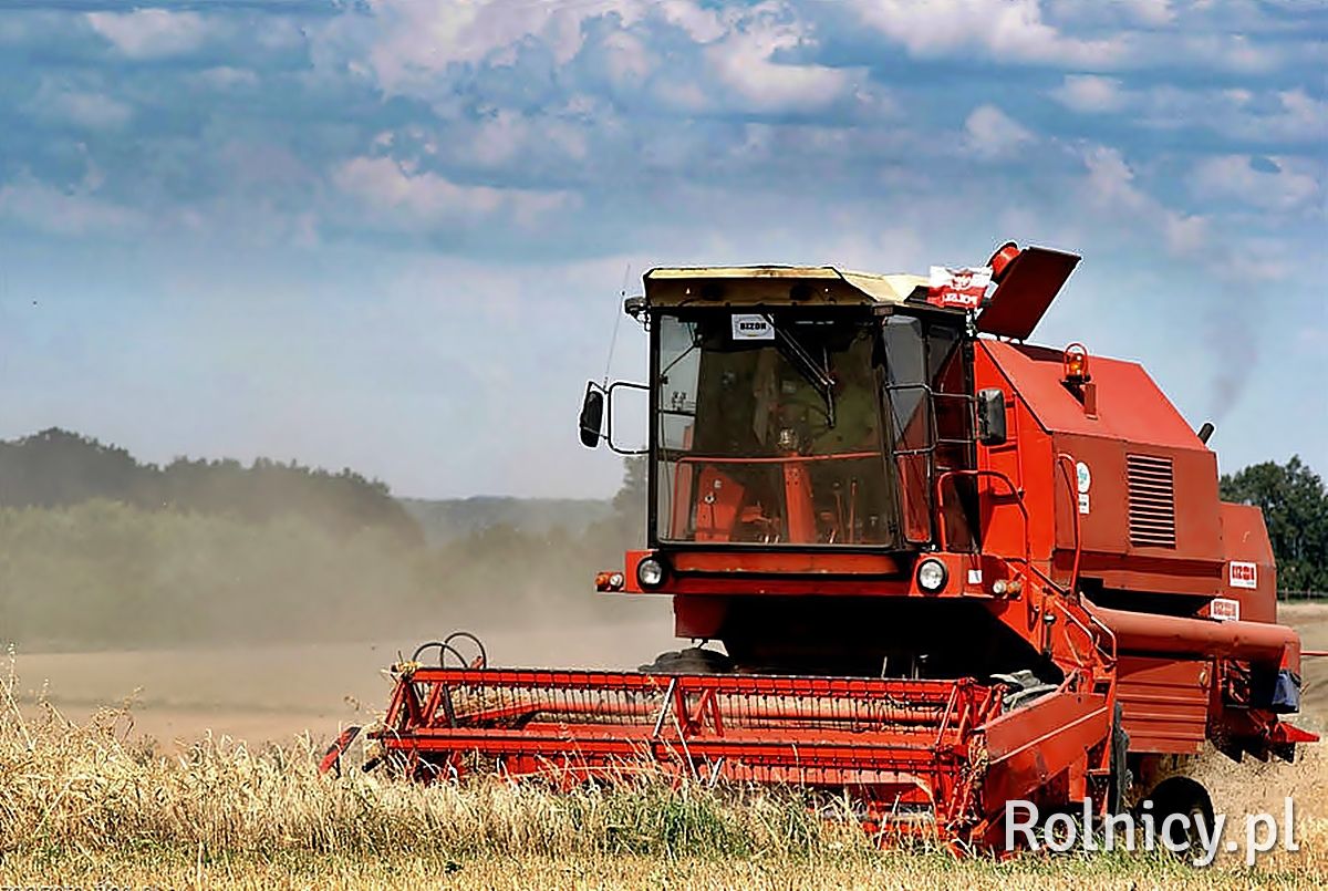 Bizon ZO58 Rekord, zdjęcia - Rolnicy.pl
