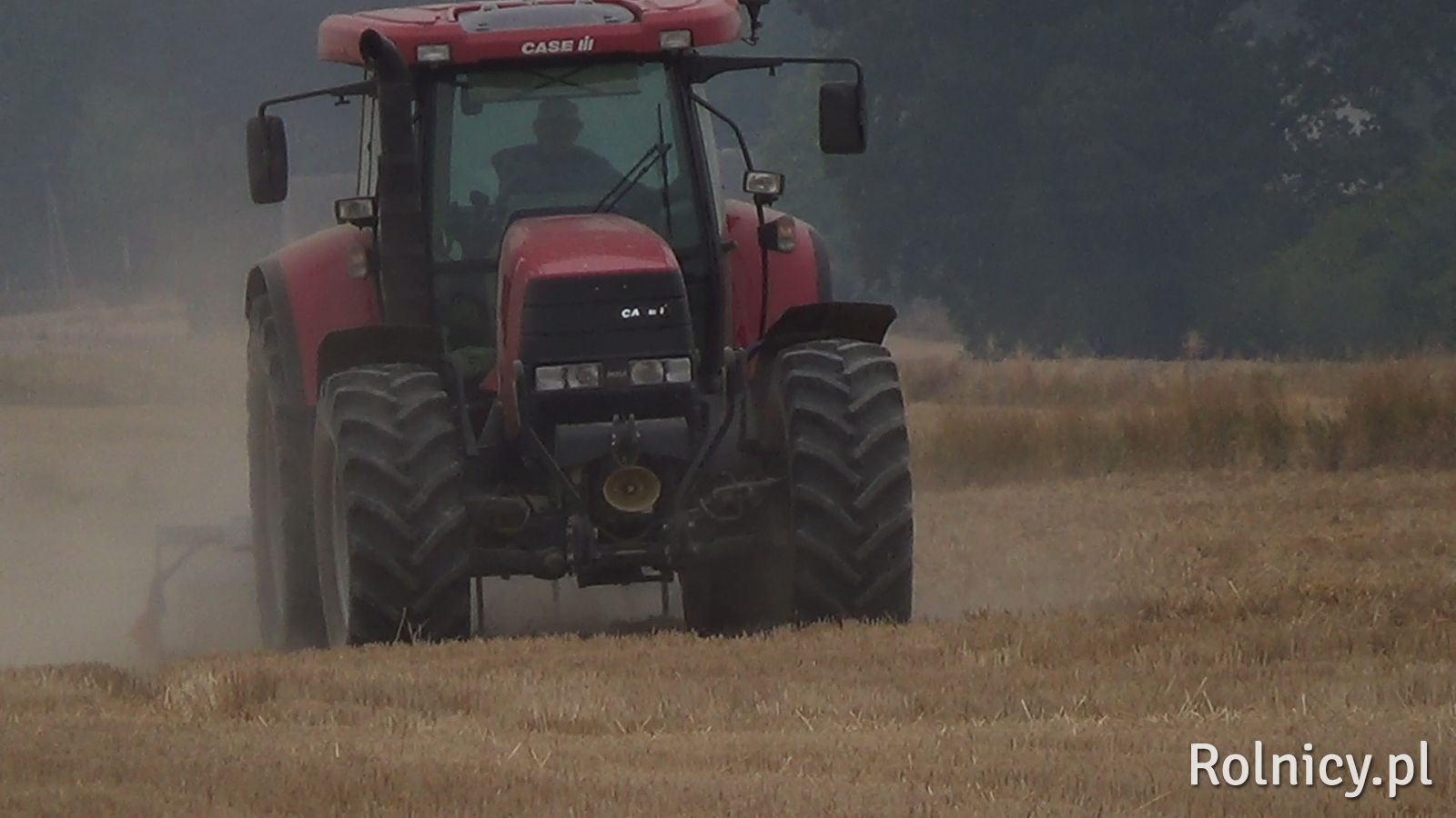 Case 195 CVX + Mandam, zdjęcia - Rolnicy.pl