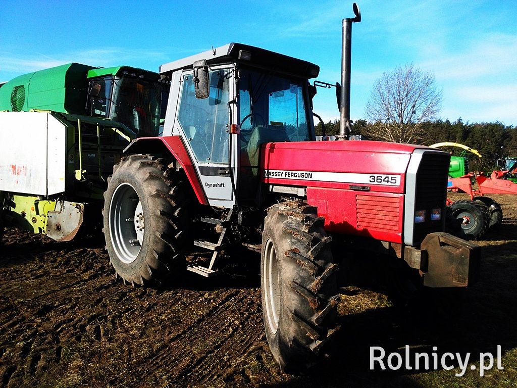 Massey Ferguson 3645 - dane techniczne, cena, opinie, zdjęcia, forum ...