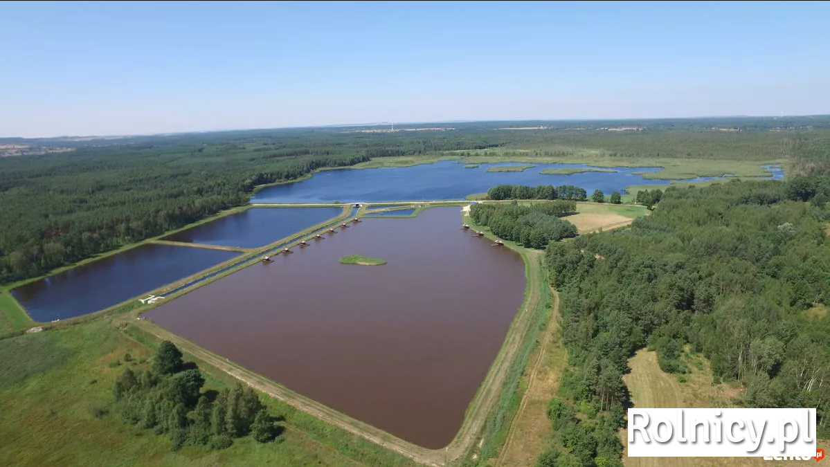 Stawy Rybne , Obiekt Rekreacyjny 22ha, Piskorzeniec - Rolnicy.pl
