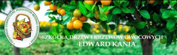 Szkółka drzew i krzewów owocowych Edward Kania, Zdziarzec - Rolnicy.pl