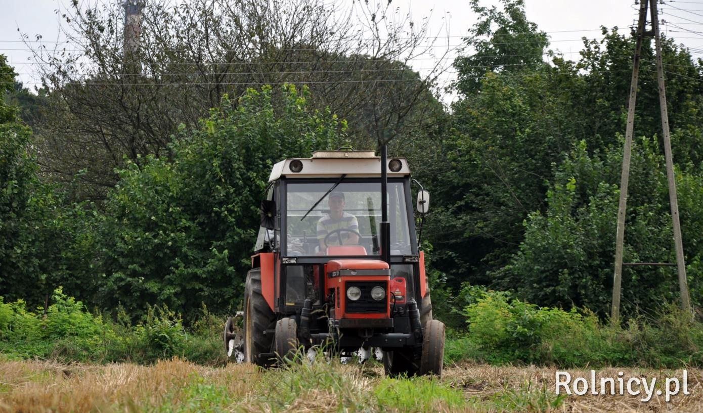 Zetor 7211 - dane techniczne, cena, opinie, zdjęcia, forum, spalanie ...