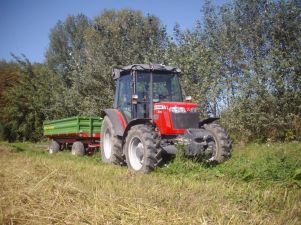 Massey Ferguson 3625 - dane techniczne, cena, opinie, zdjęcia, forum ...